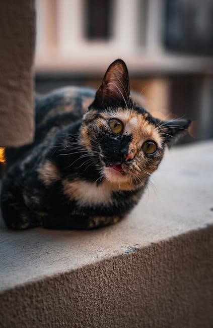 Download ASME B31.1-2022 PDF Free Now | Burnside USA